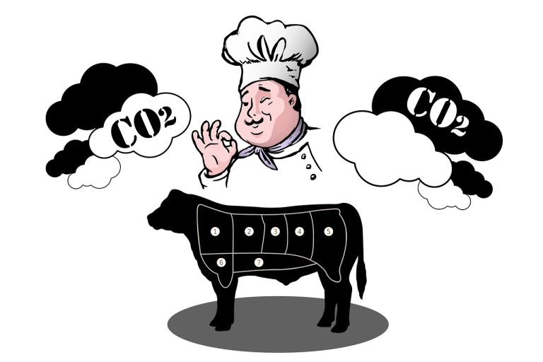 Comprendre le bilan carbone® : définition, méthode et réponses aux ...